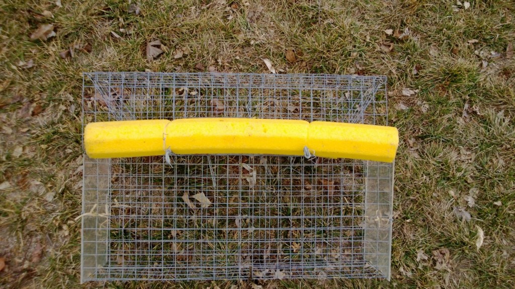 FLOATING COLONY TRAP | BearsButt.com | Stories, Ramblings & Random ...