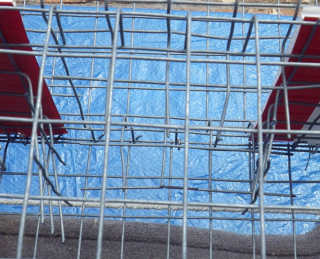 FLOATING COLONY TRAP | BearsButt.com | Stories, Ramblings & Random ...