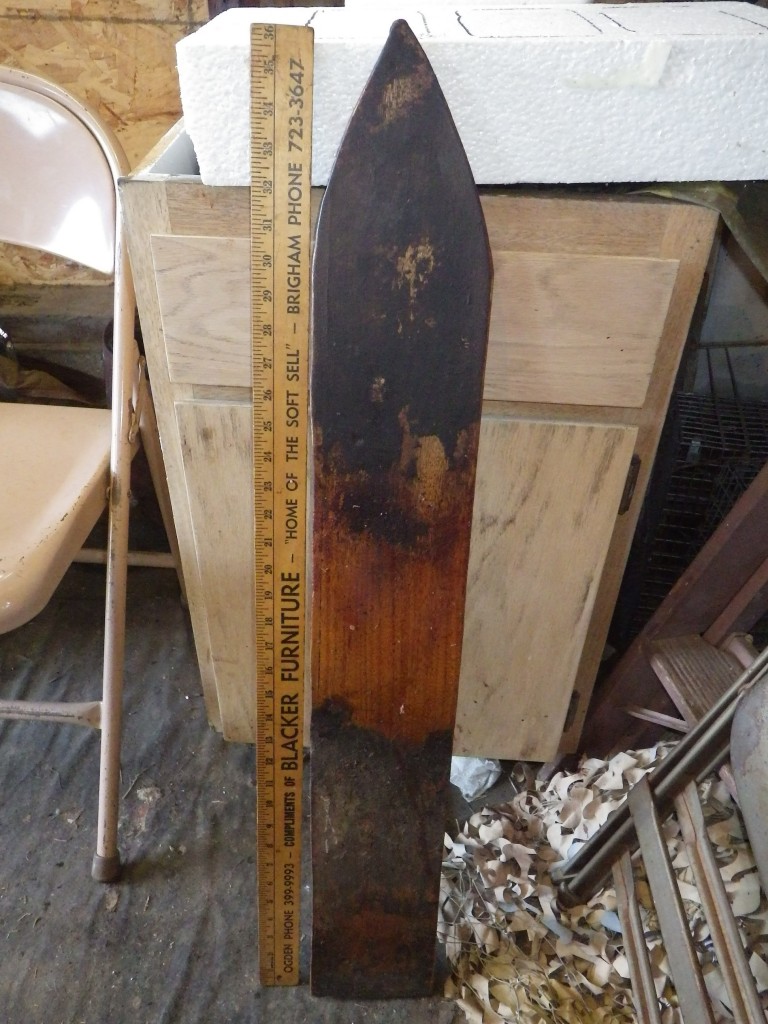 INSIDE THE SKINNING SHED…WITH PICTURES | BearsButt.com | Stories ...